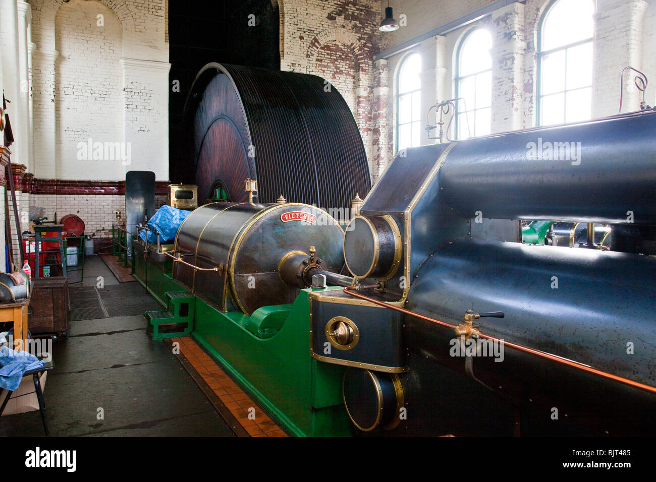 Victoria Beam's Instagram, Twitter & Facebook on IDCrawl