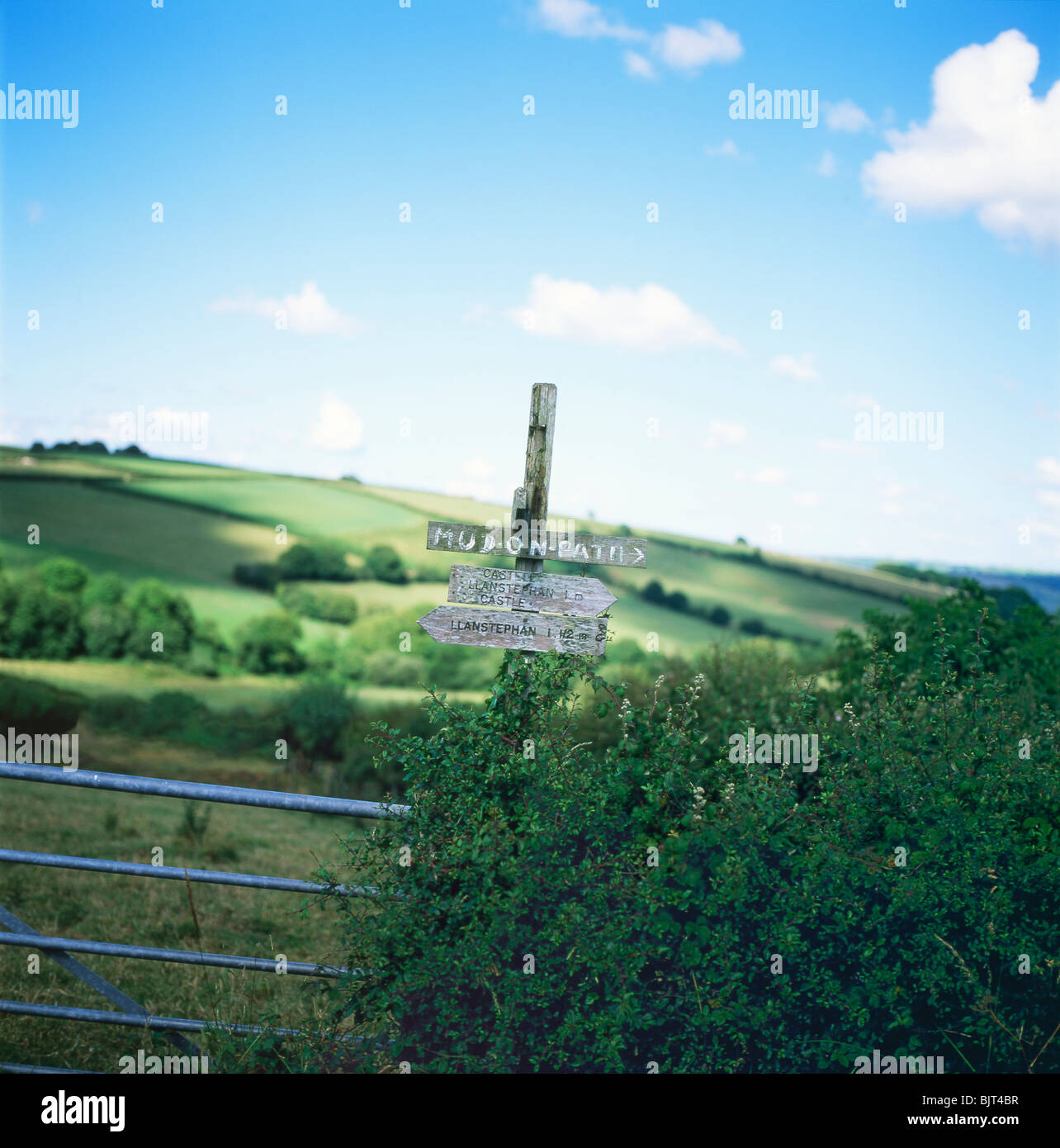 Kathy dewitt sign hi-res stock photography and images - Alamy