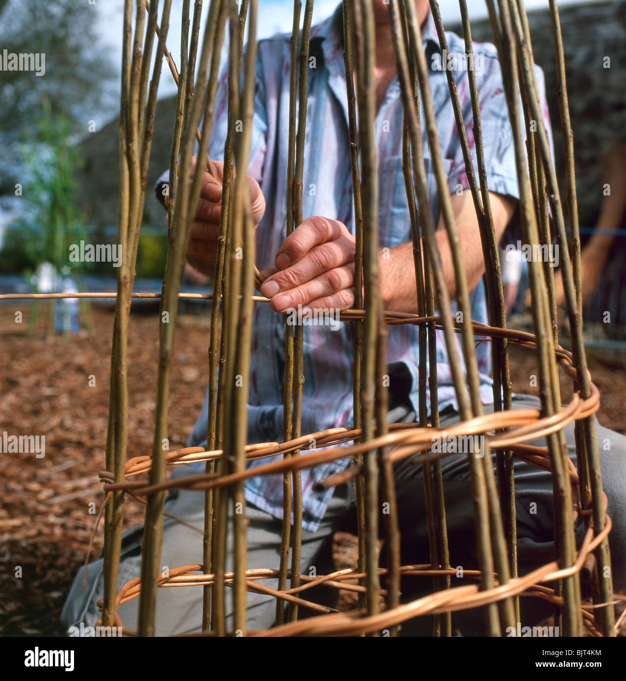 A craftsman at work making a traditional willow frame to support ...