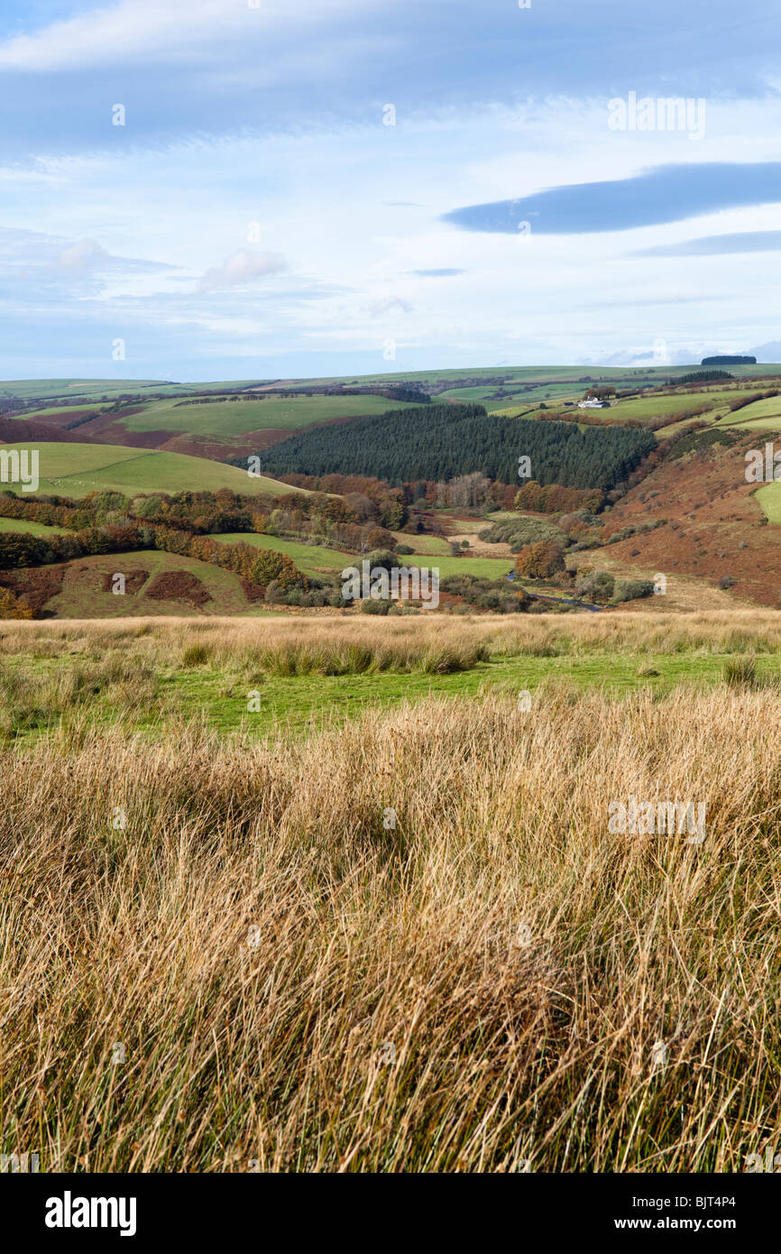 An Exmoor National Park landscape looking towards Landacre Bridge, W of ...