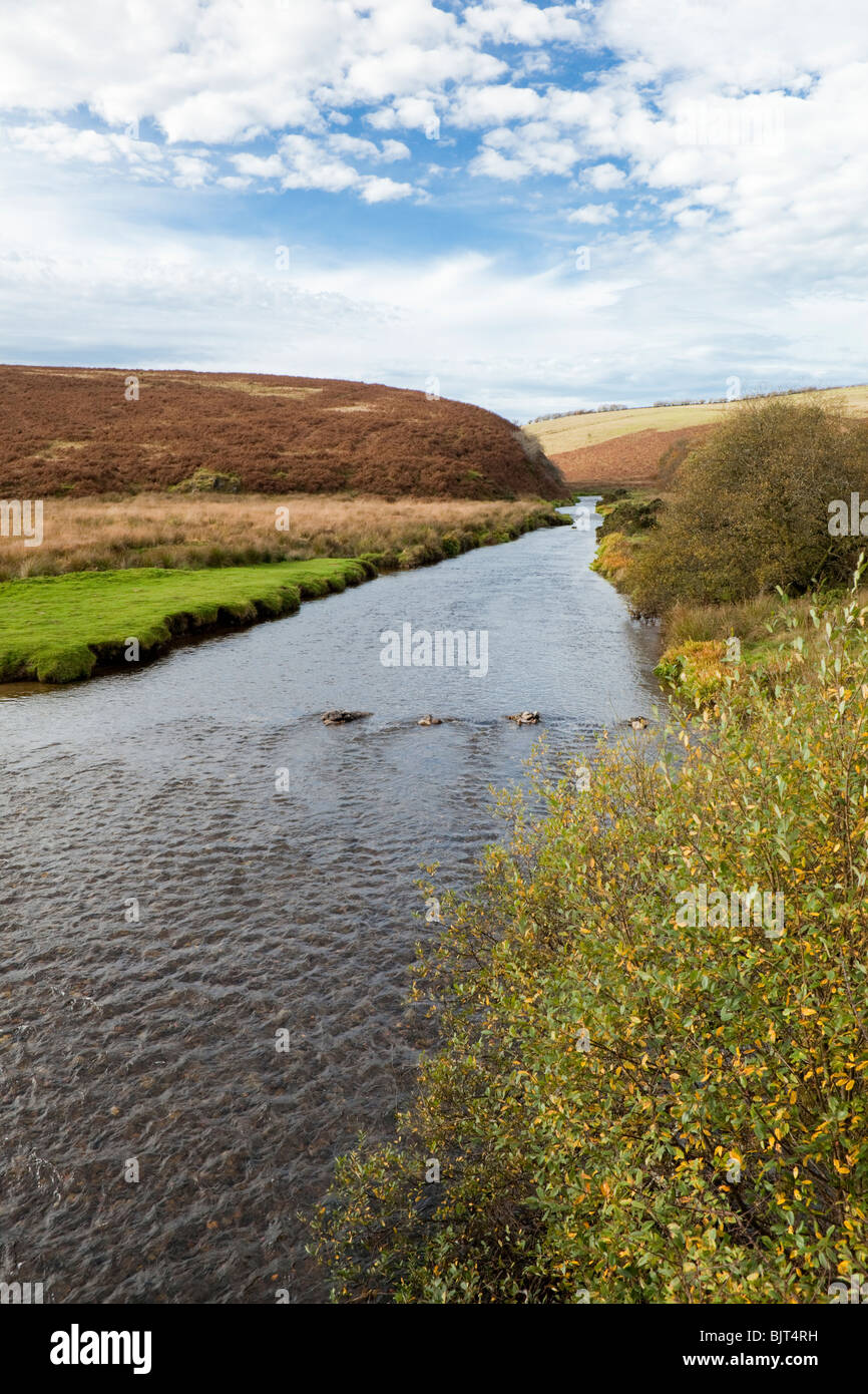 An Exmoor view looking west up the River Barle from Landacre Bridge, W ...