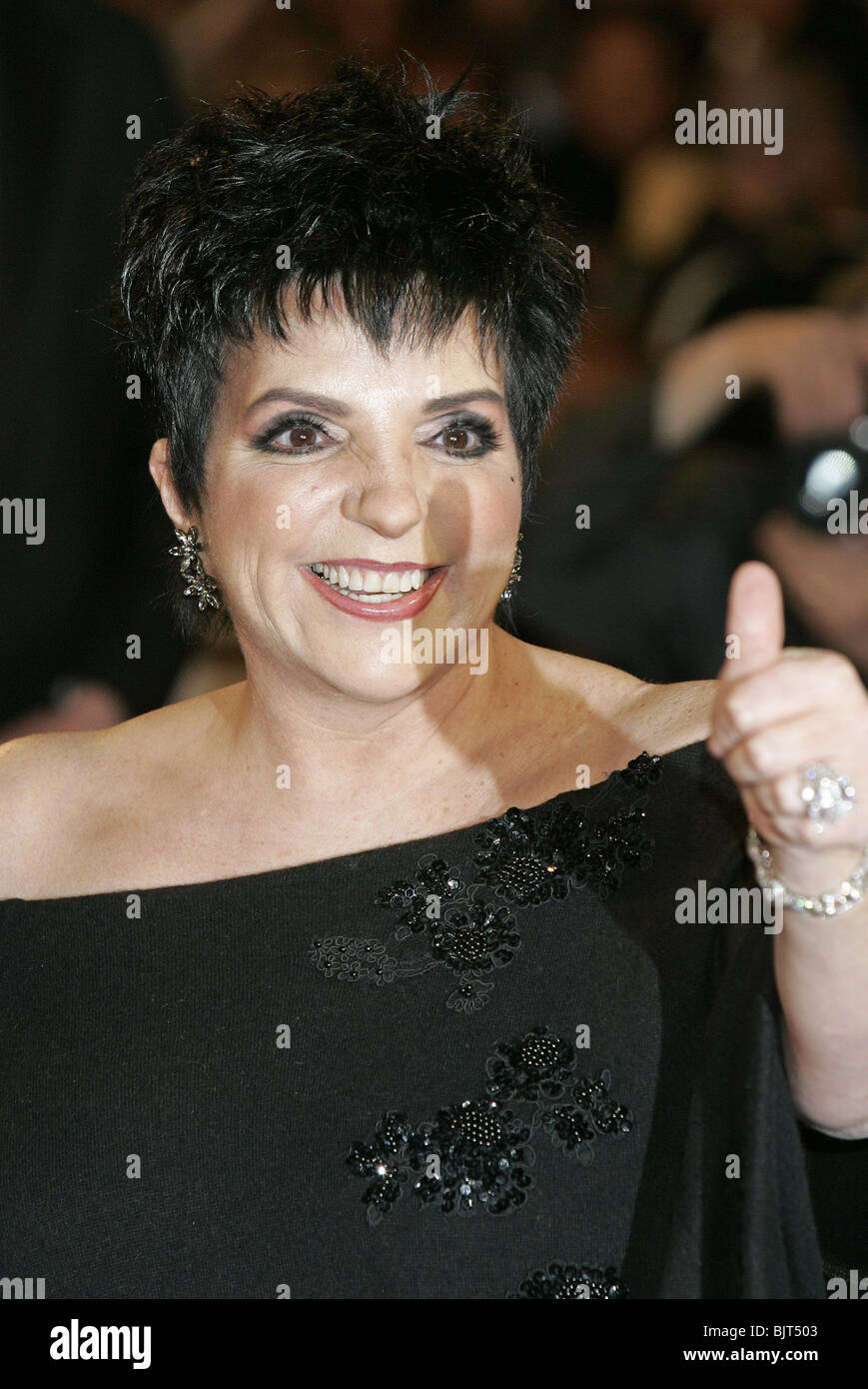 Liza hi-res stock photography and images - Alamy