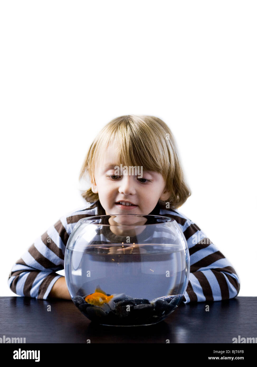 The goldfish boy hi-res stock photography and images - Alamy