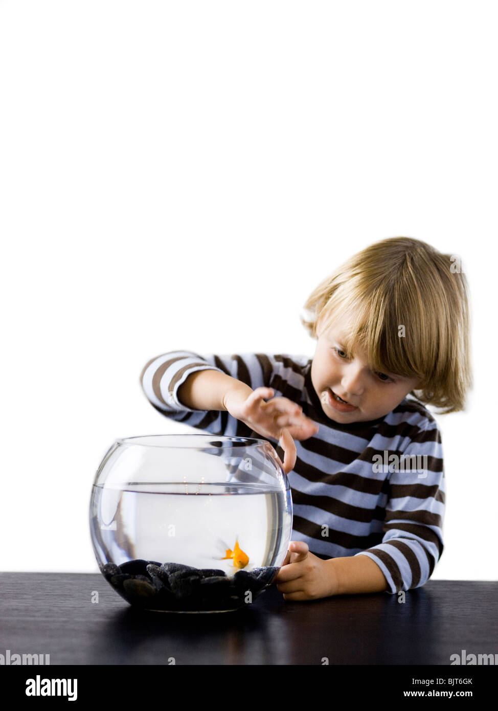 Boy playing with goldfish hi-res stock photography and images - Alamy