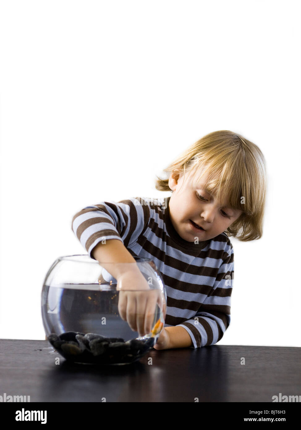 Goldfish in bowl hi-res stock photography and images - Alamy