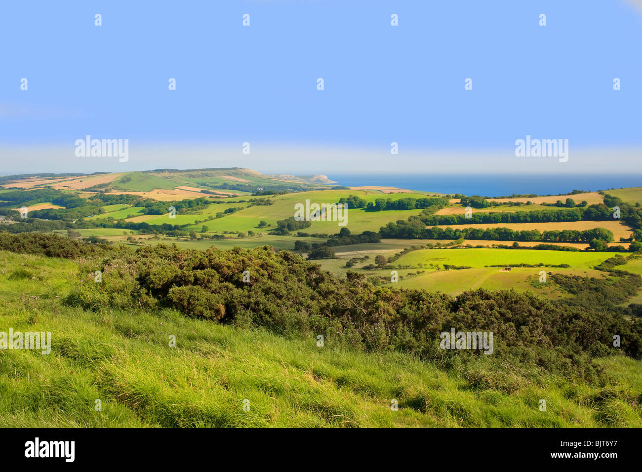 the view over dorset countryside from whiteways hill on army training ...