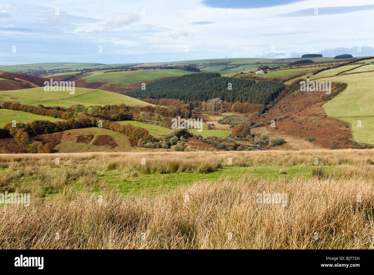 An Exmoor landscape looking towards Landacre Bridge, W of Withypool ...