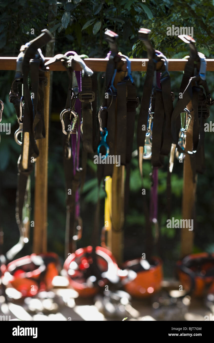 Tree climbing equipment Stock Photo - Alamy