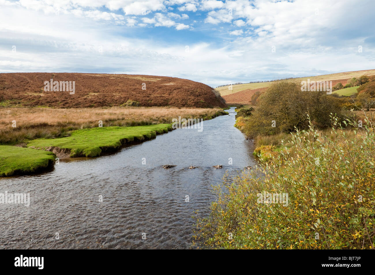 An Exmoor view looking west up the River Barle from Landacre Bridge, W ...