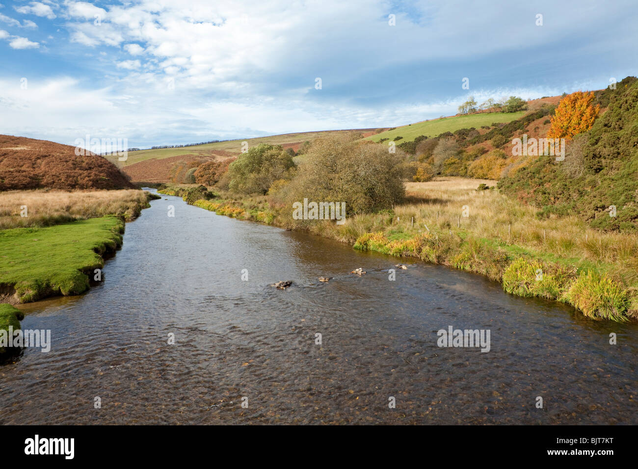 An Exmoor view looking west up the River Barle from Landacre Bridge, W ...