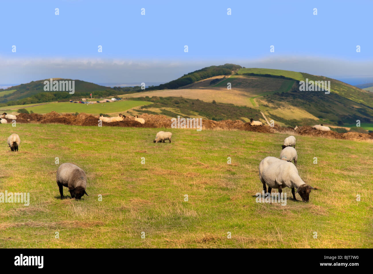 the view over dorset countryside from whiteways hill on army training ...