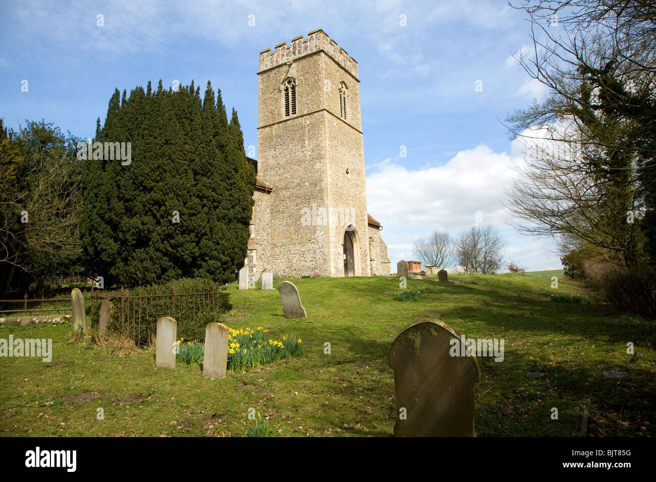 Tower and churchyard Church of St Botolph, Burgh, Suffolk Stock Photo ...