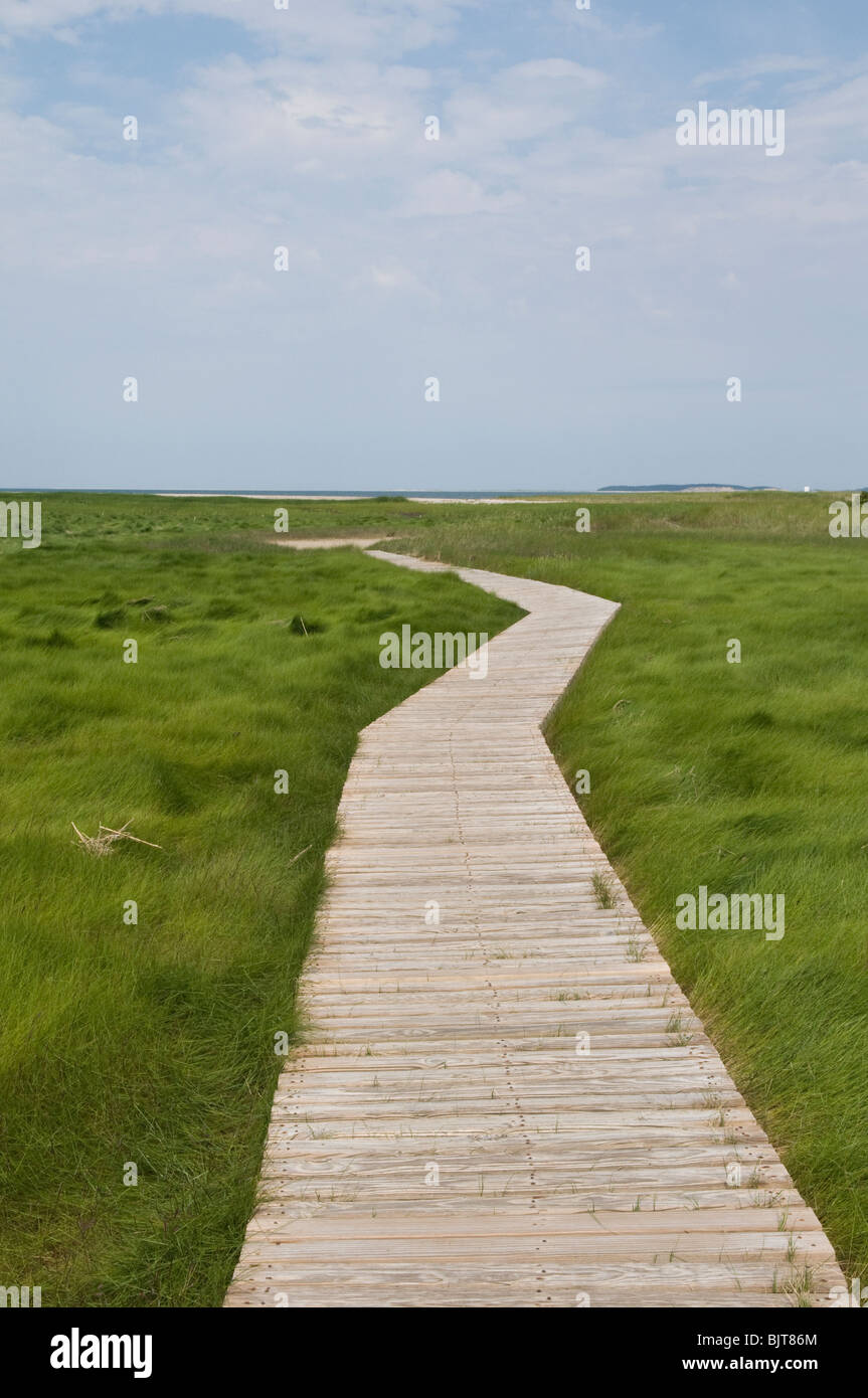 Winding boardwalk leading out to the beach, Wellfleet Bay wildlife ...
