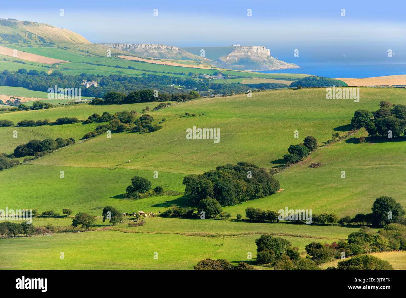 the view over dorset countryside from whiteways hill on army training ...