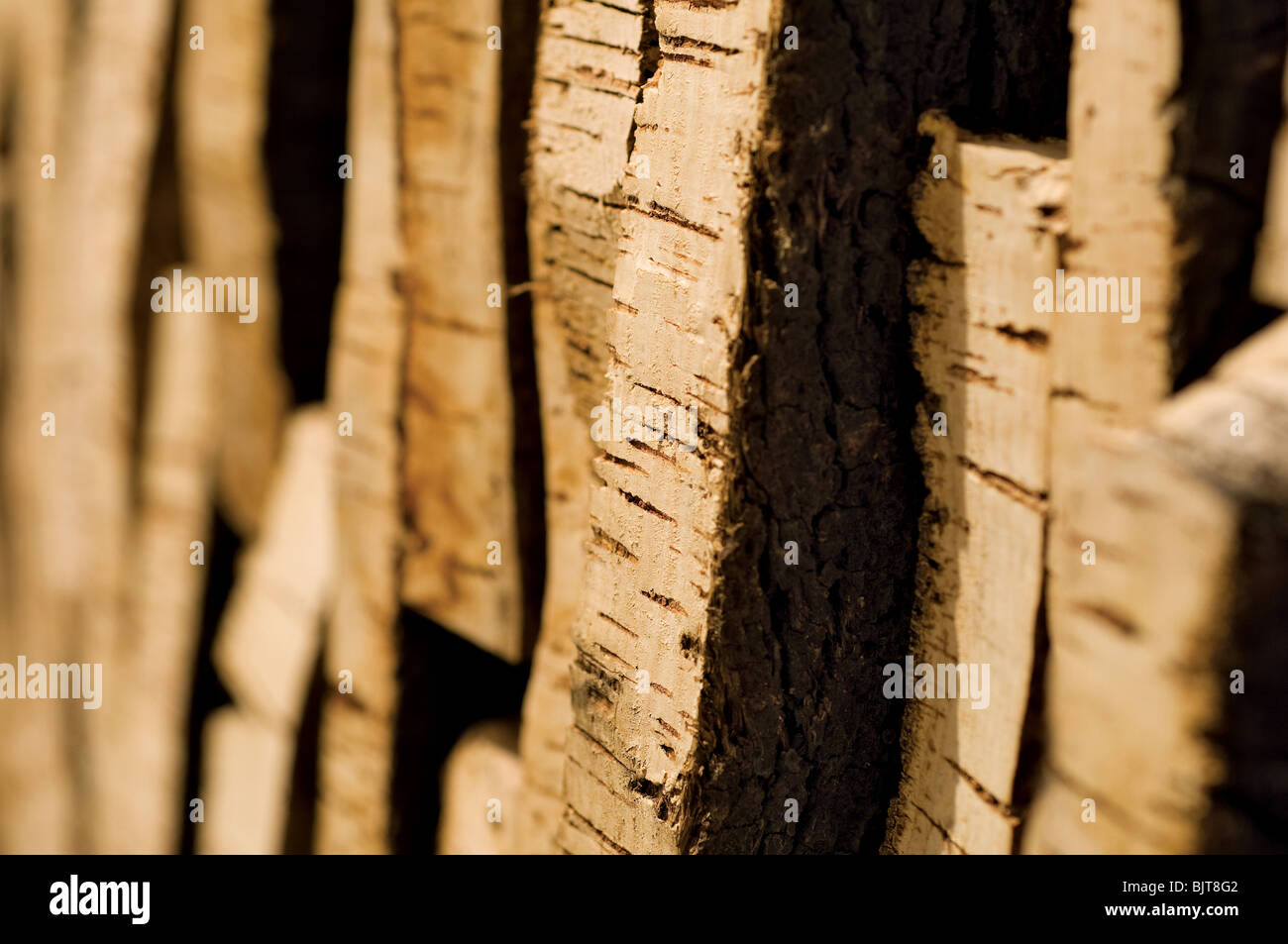 Cork Factory S. Bras Alportel Algarve Portugal material harvested for ...
