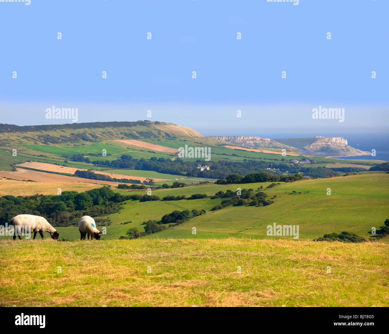 the view over dorset countryside from whiteways hill on army training ...