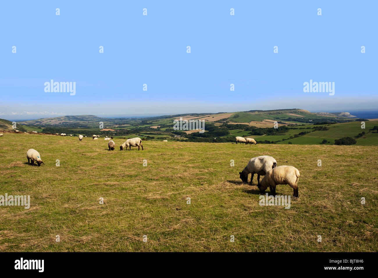 the view over dorset countryside from whiteways hill on army training ...