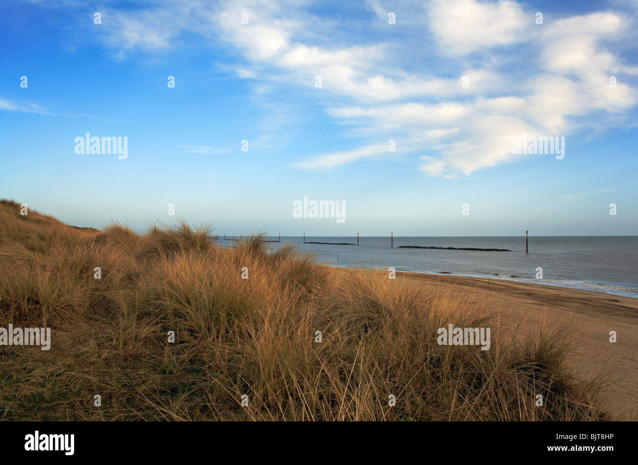 Reef beach dunes hi-res stock photography and images - Alamy