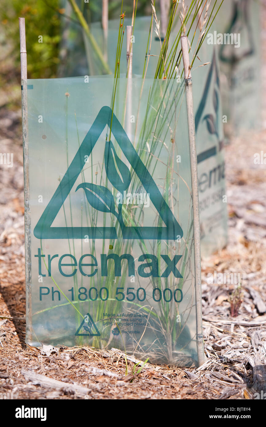 Tree planting australia hi-res stock photography and images - Alamy