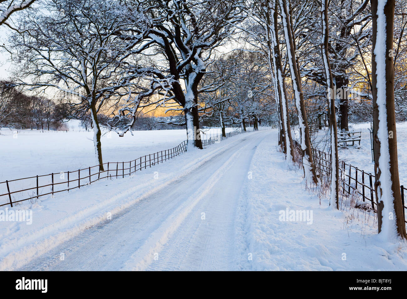 Dusk falling on an icy, snow covered Cotswold lane through parkland at ...