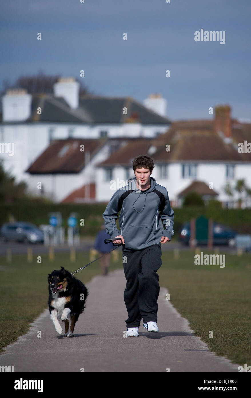 Gosport dog hi-res stock photography and images - Alamy