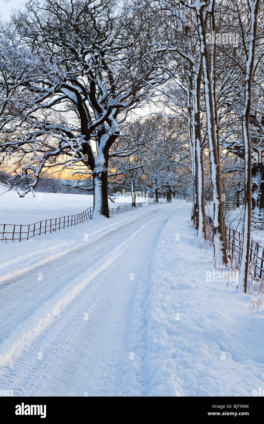 Snowy lane hi-res stock photography and images - Alamy