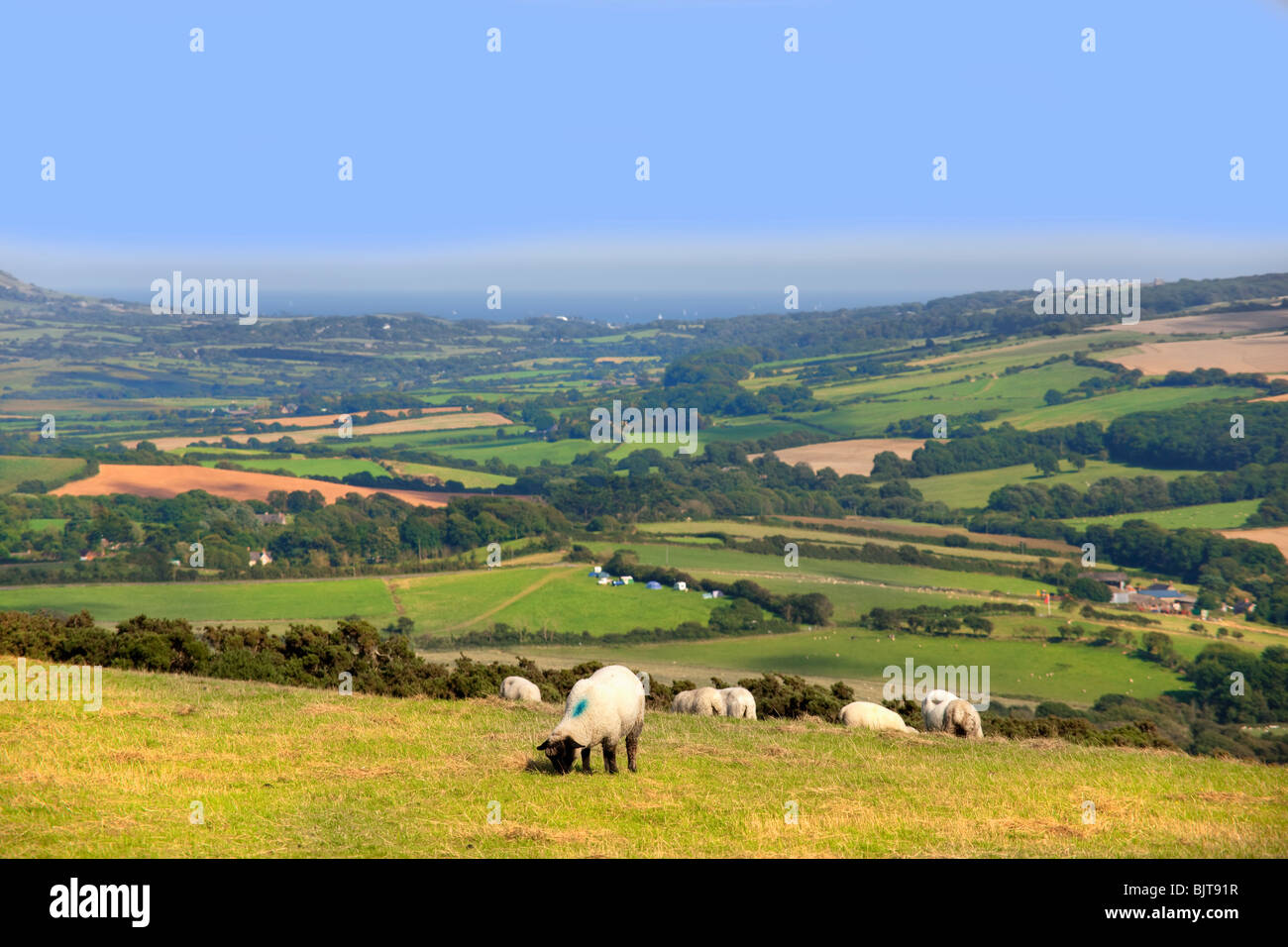 the view over dorset countryside from whiteways hill on army training ...