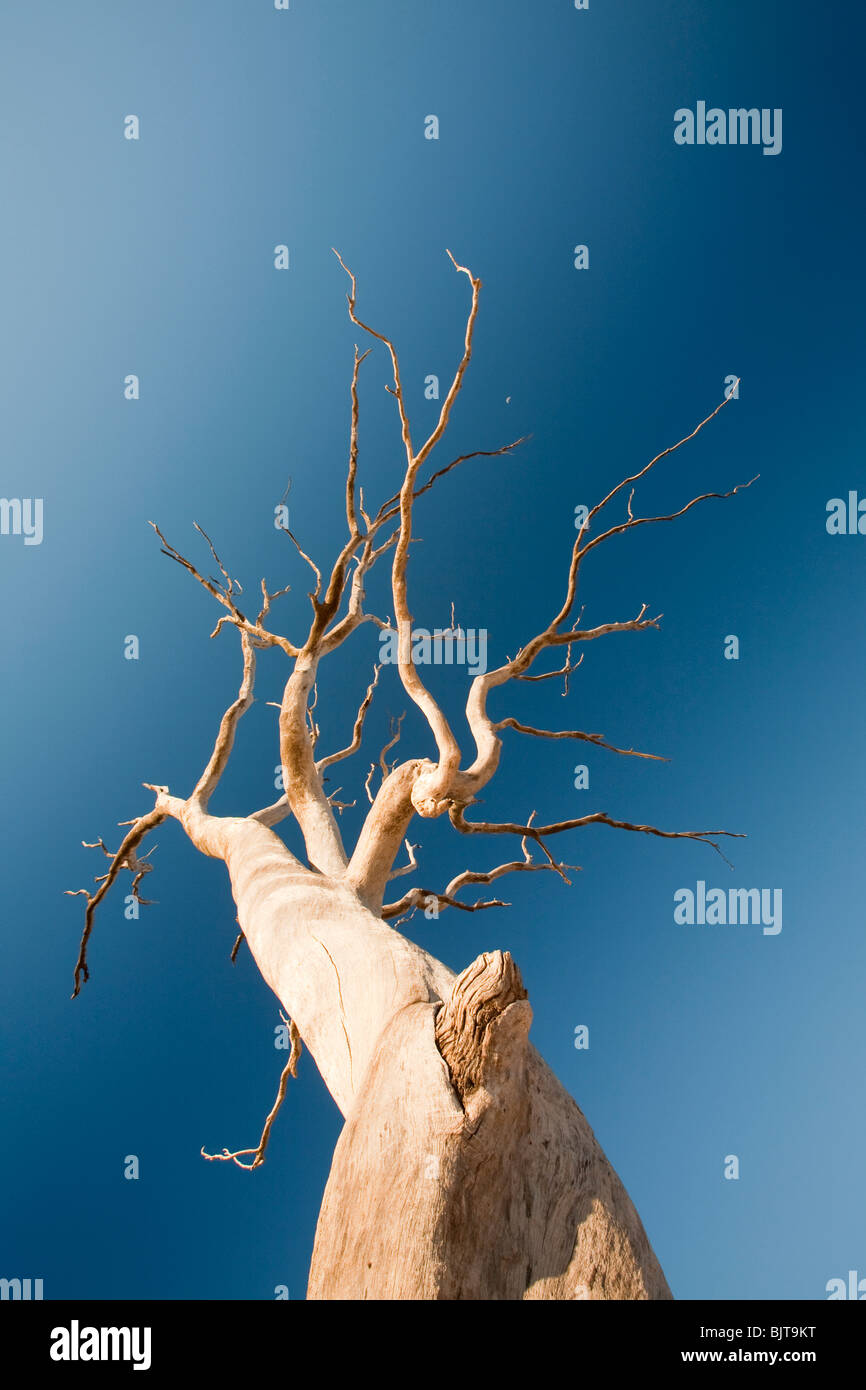 Drought reservoir hi-res stock photography and images - Alamy