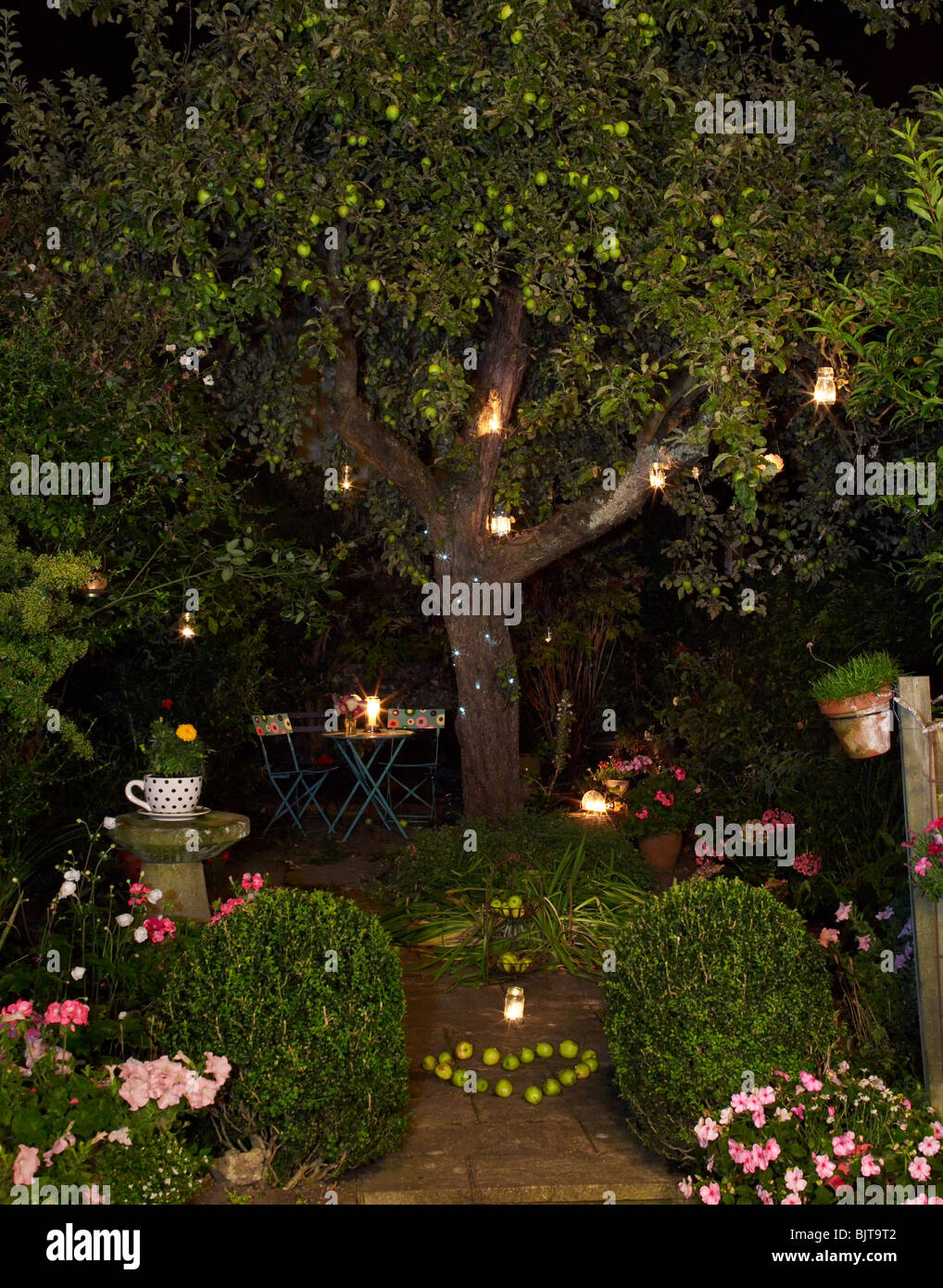 Lit up apple tree at night Stock Photo - Alamy