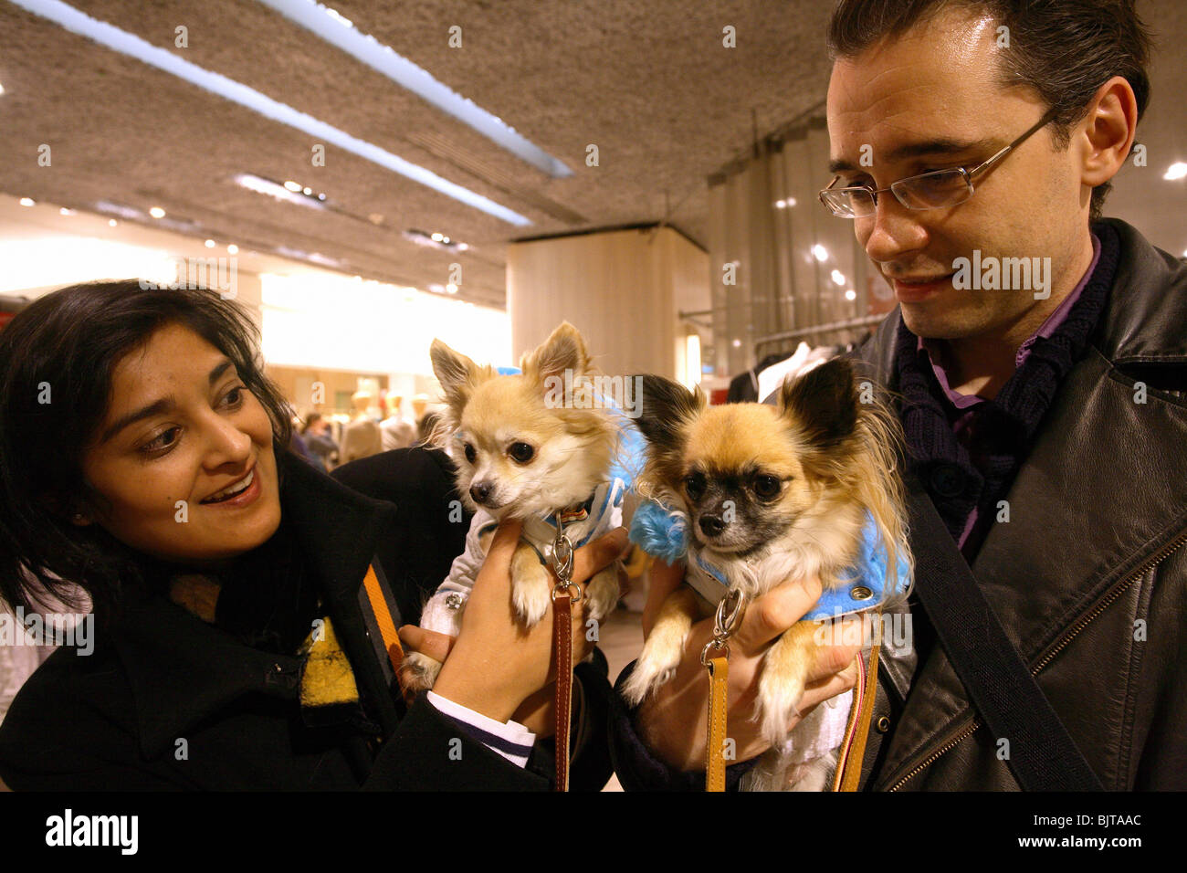 Couple with two small dogs, Paris, France Stock Photo - Alamy