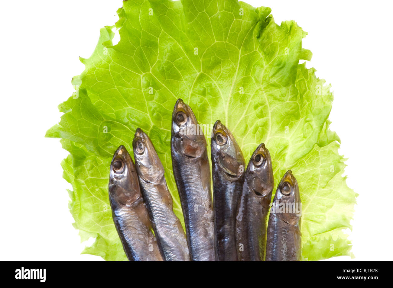 Sprat hi-res stock photography and images - Alamy