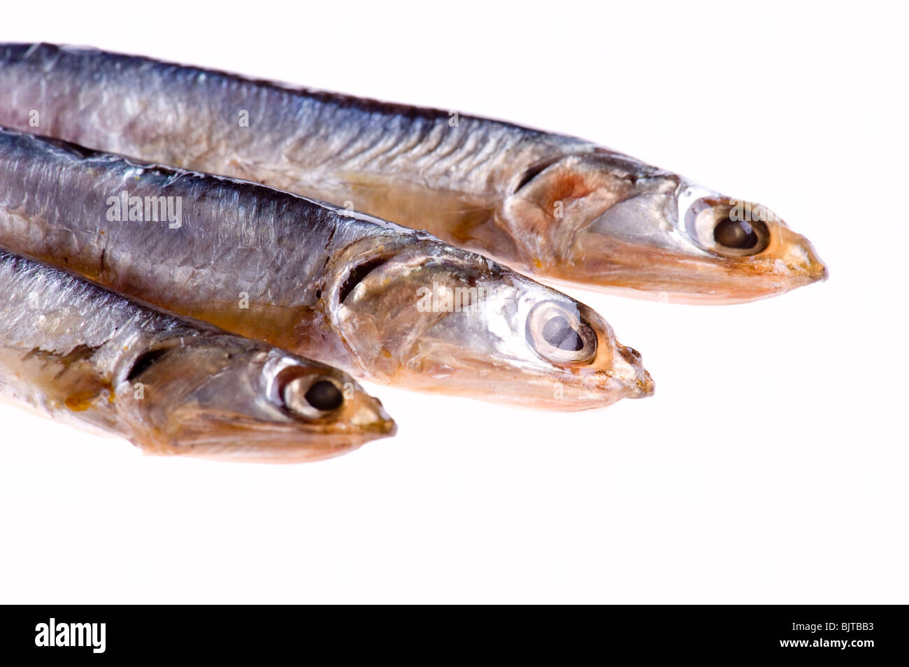Sprat hi-res stock photography and images - Alamy