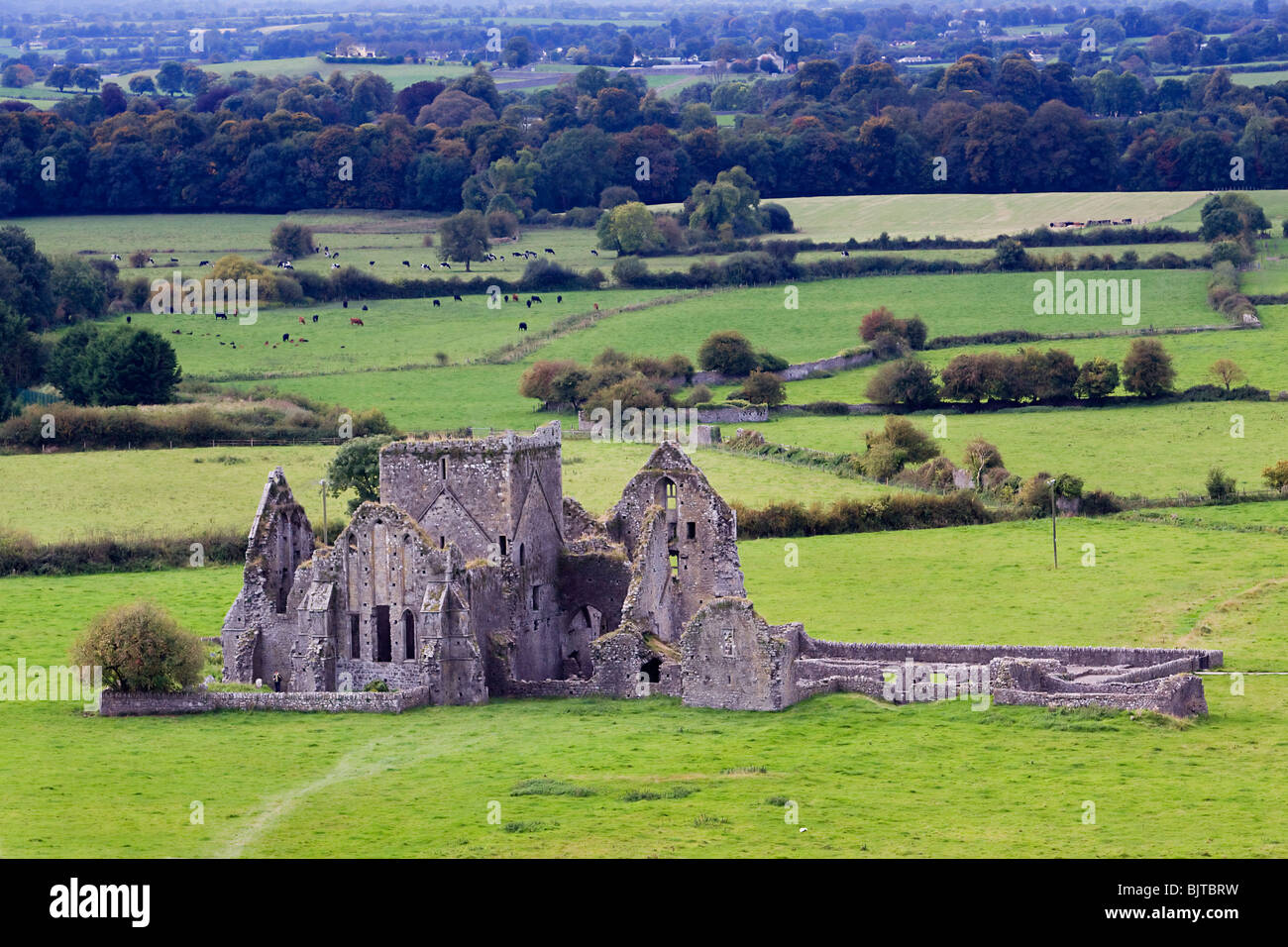 Tipperary abbey hi-res stock photography and images - Alamy