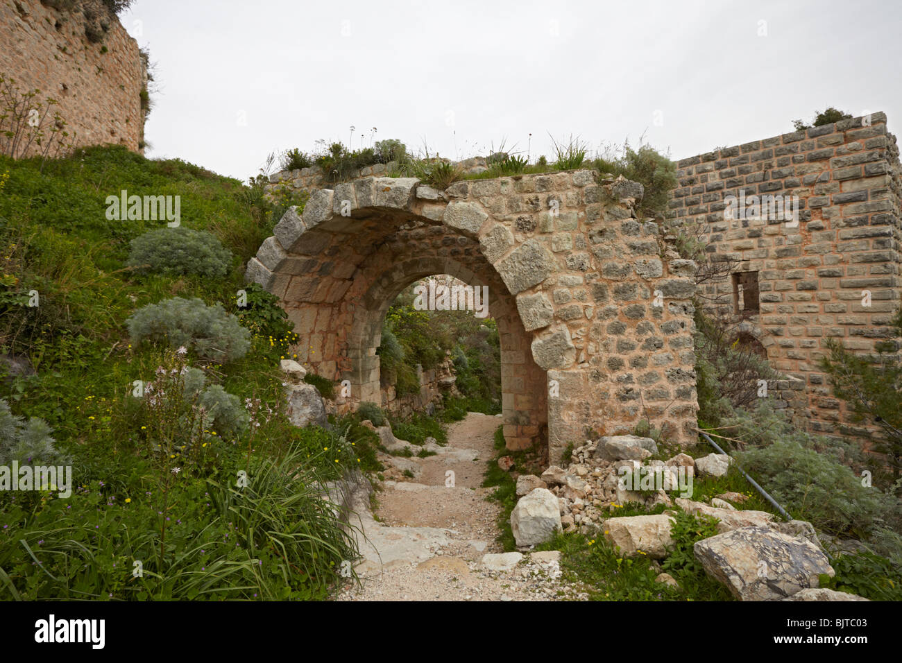 Syria Saladin's castle Stock Photo - Alamy