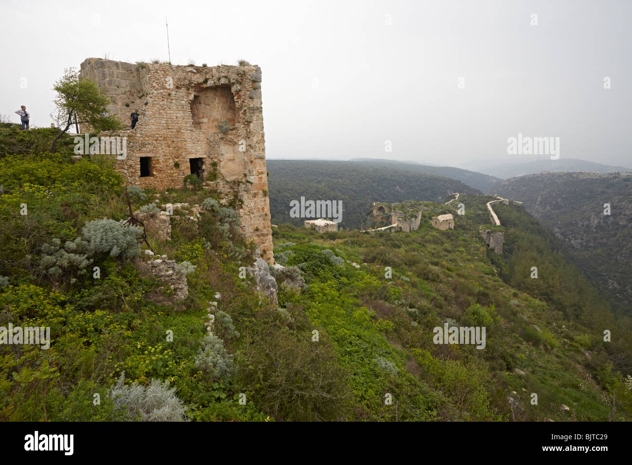 Syria Saladin's castle Stock Photo - Alamy