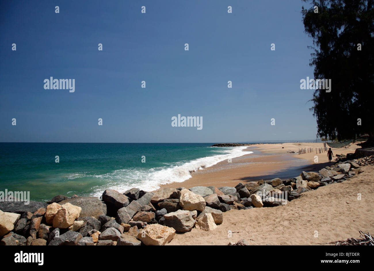 Restinga hi-res stock photography and images - Alamy