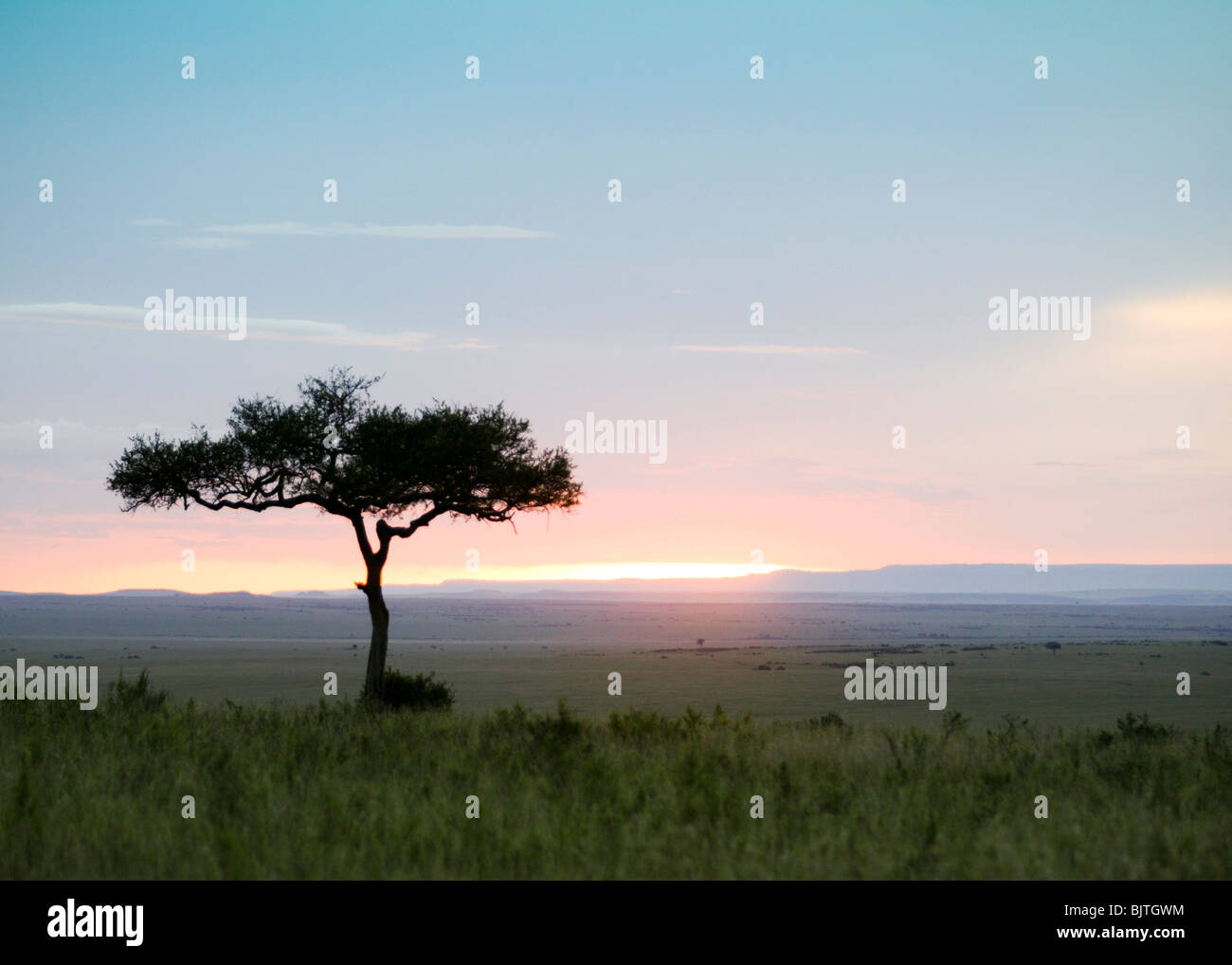 Kenya sunset hi-res stock photography and images - Alamy