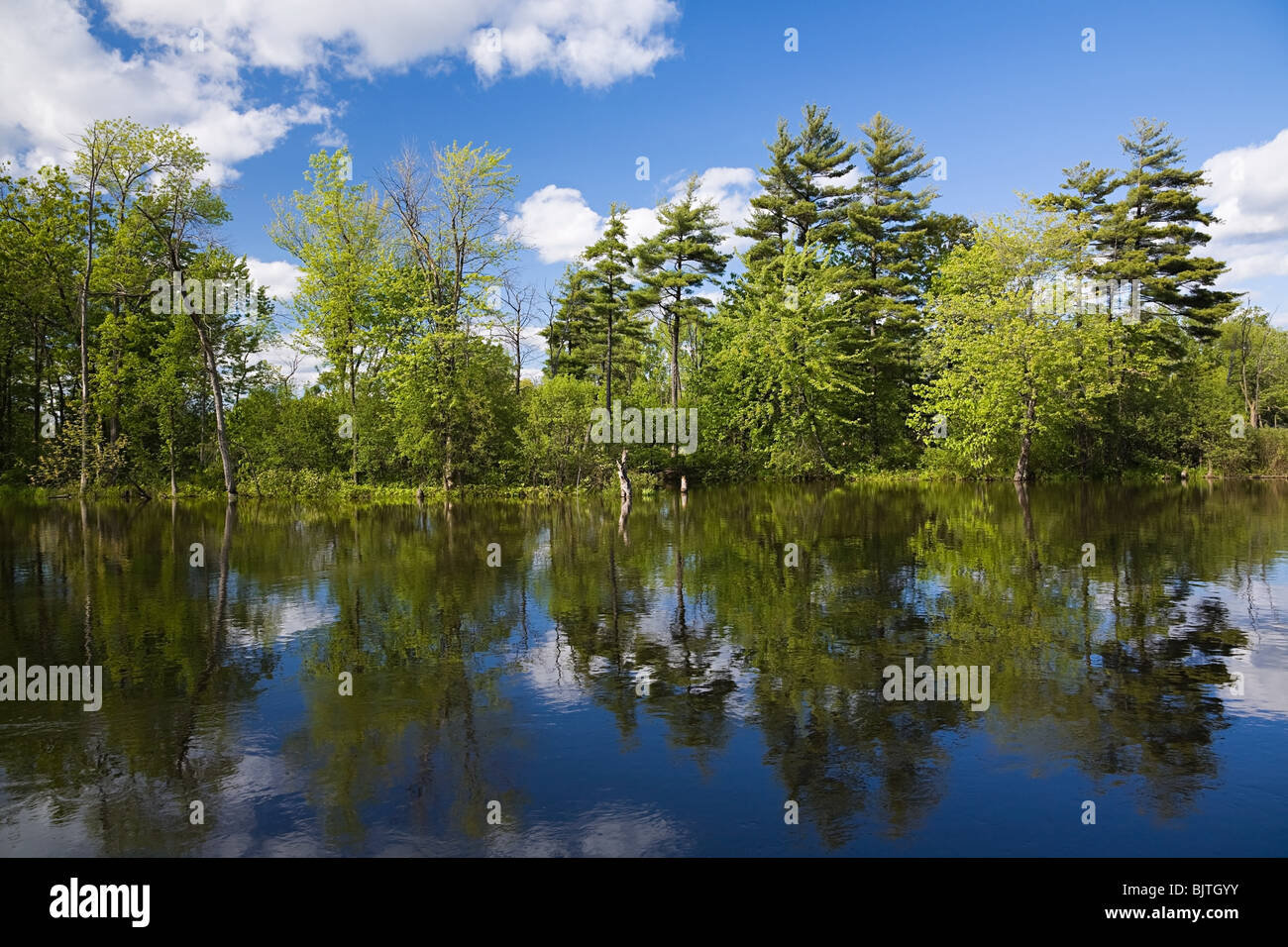 Trees with river hi-res stock photography and images - Alamy