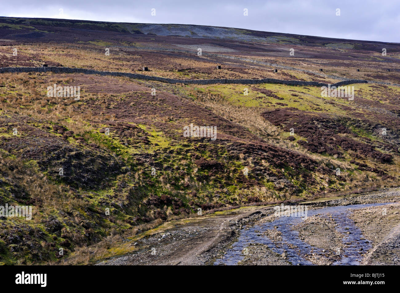 Brownsey hi-res stock photography and images - Alamy