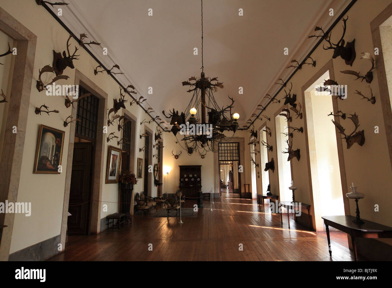 Hunting trophy room in royal hi-res stock photography and images - Alamy