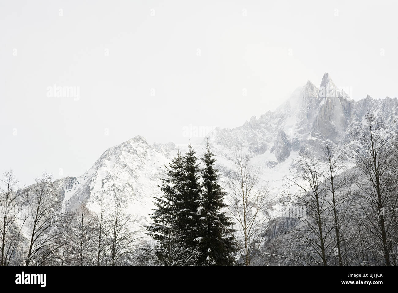 Trees and mountain in french alps Stock Photo - Alamy