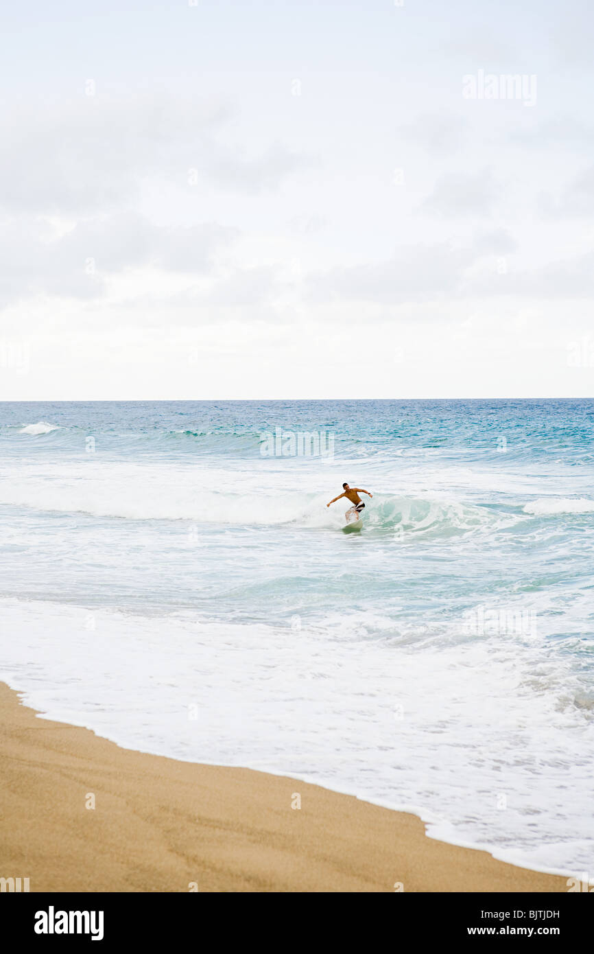 Surfer in the sea Stock Photo - Alamy