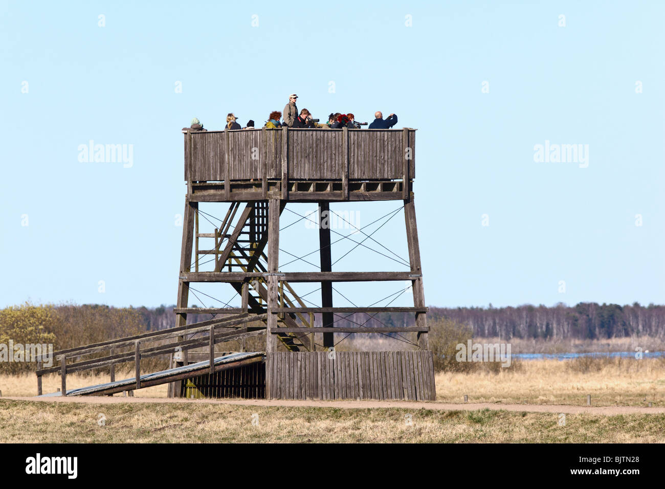 Birdwatcher viewing birds from a tower Stock Photo - Alamy
