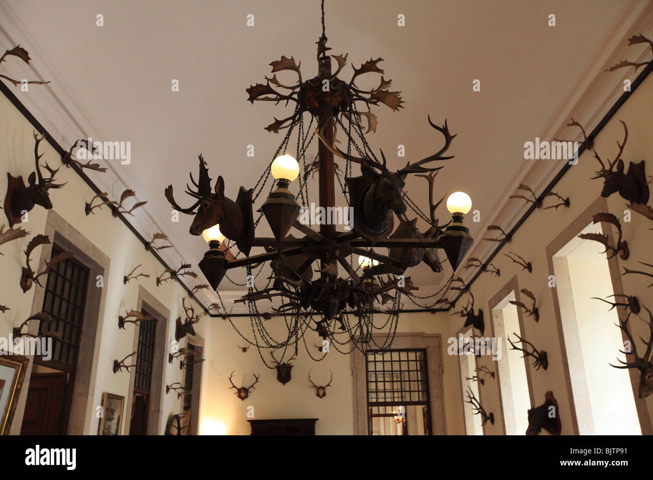 Trophy room hi-res stock photography and images - Alamy