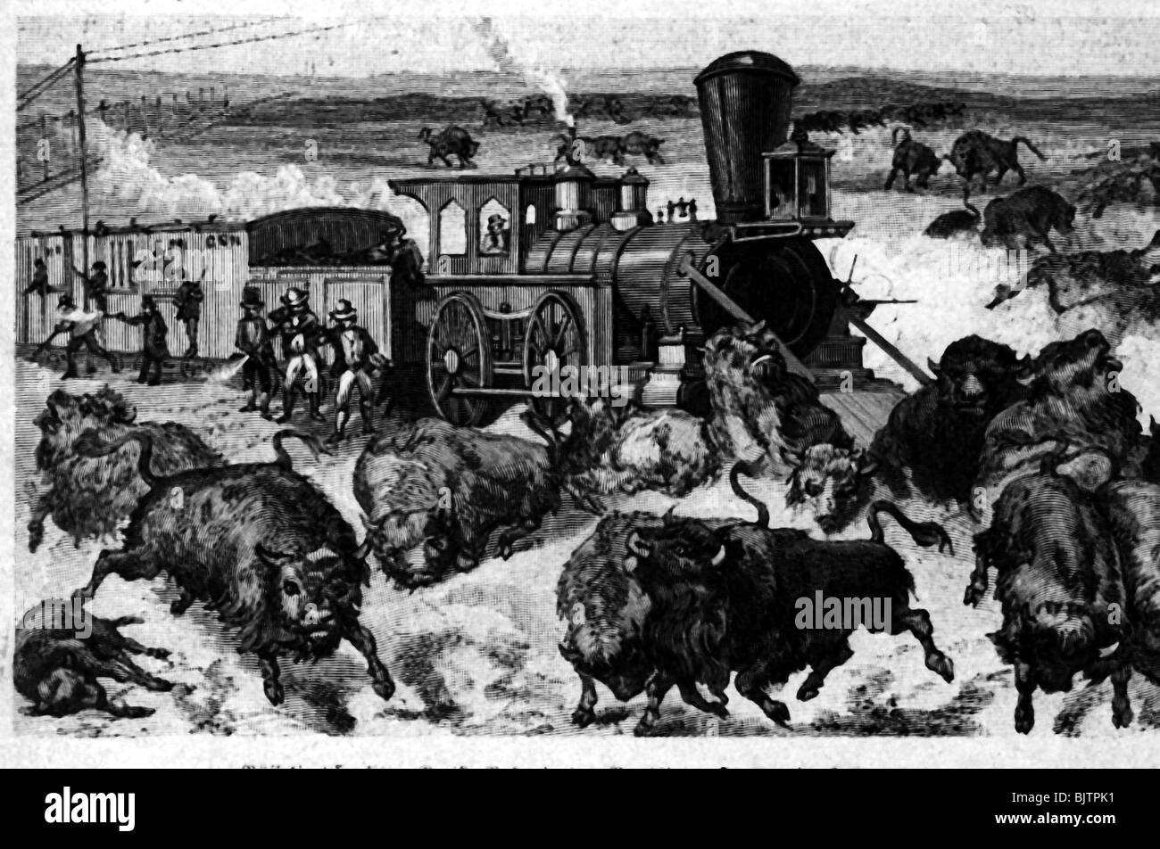 Train and buffalo hi-res stock photography and images - Alamy