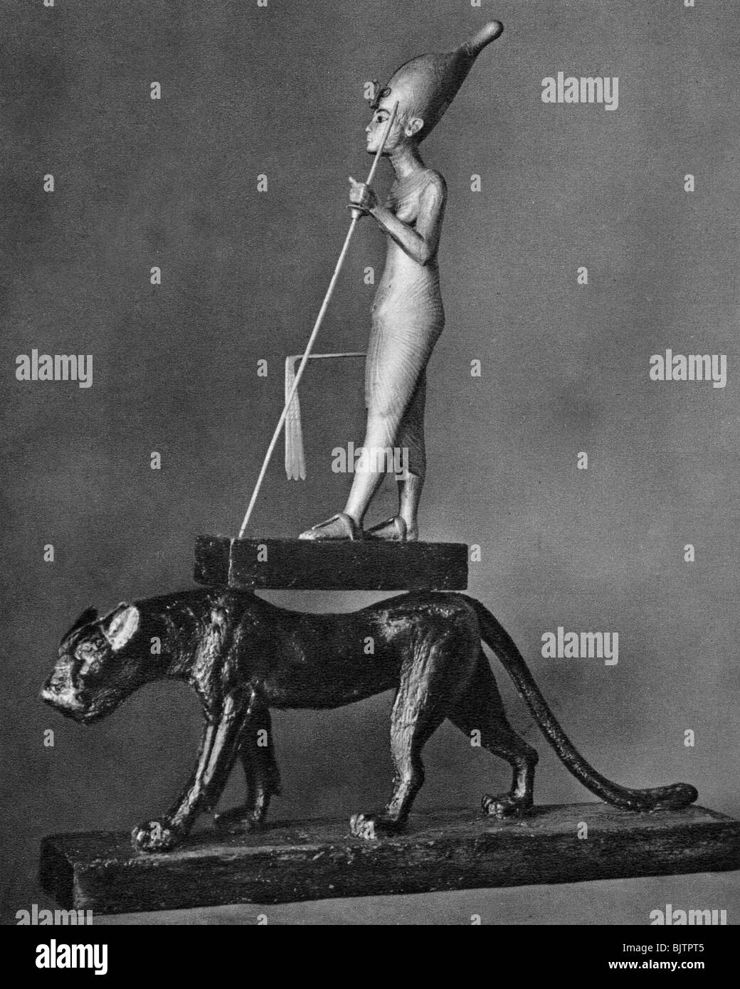 King leopard Black and White Stock Photos & Images - Alamy