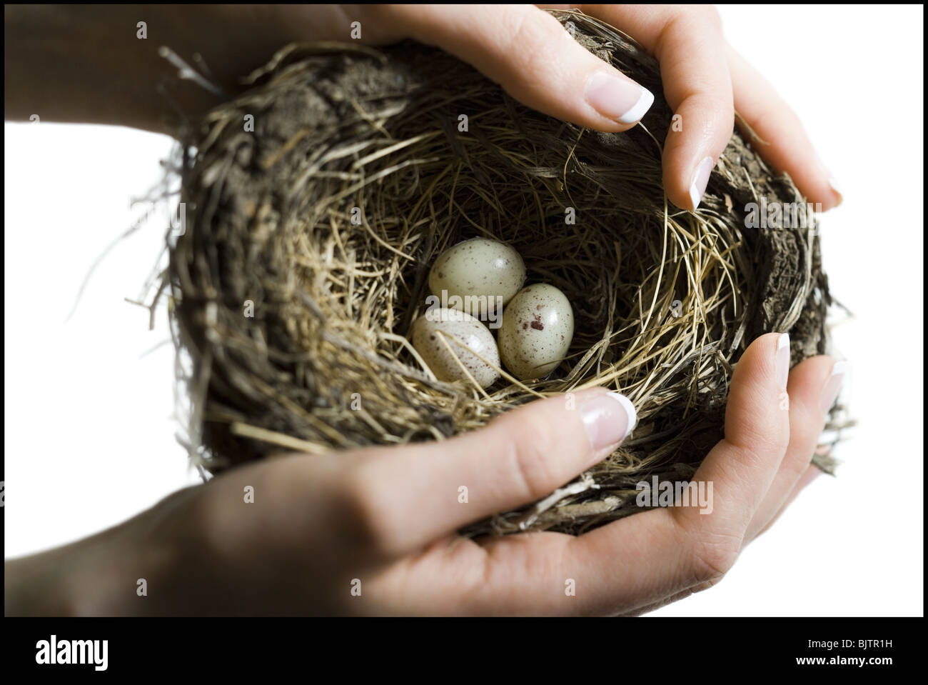 Woman holding a bird's nest Stock Photo - Alamy