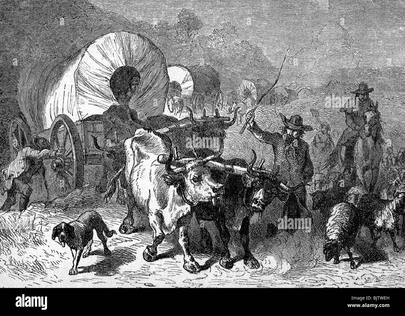 Colonization north america High Resolution Stock Photography and Images ...