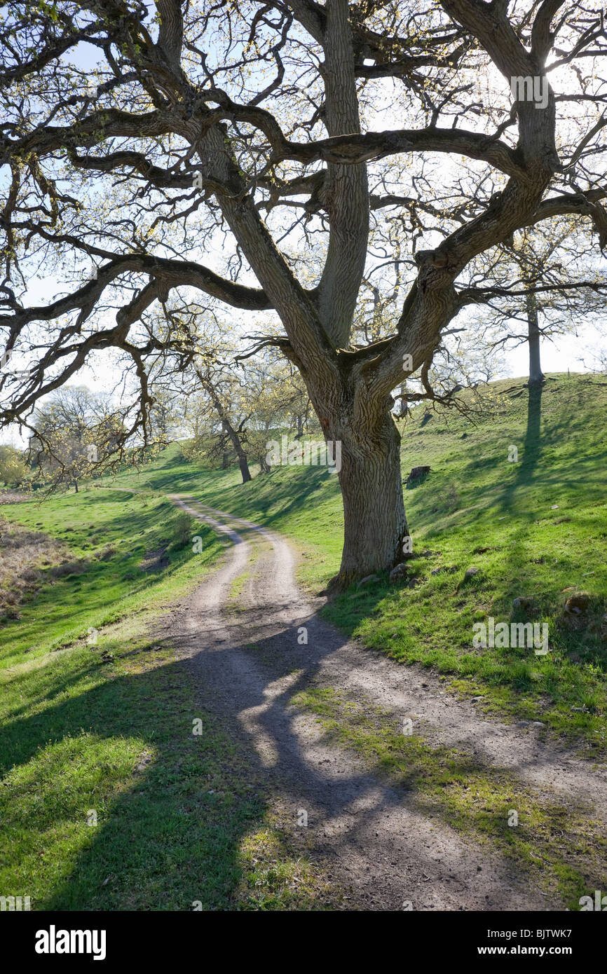 Country road in spring landscape Stock Photo - Alamy