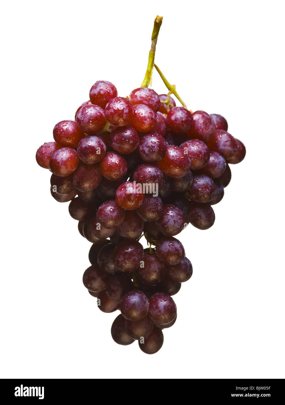 One bunch of red grapes Stock Photo - Alamy